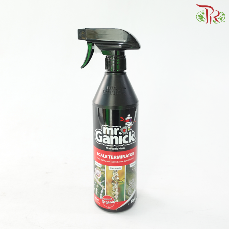 Mr Ganick Scale Terminator RTU (500ML) – Pudu Ria Florist (Northern)