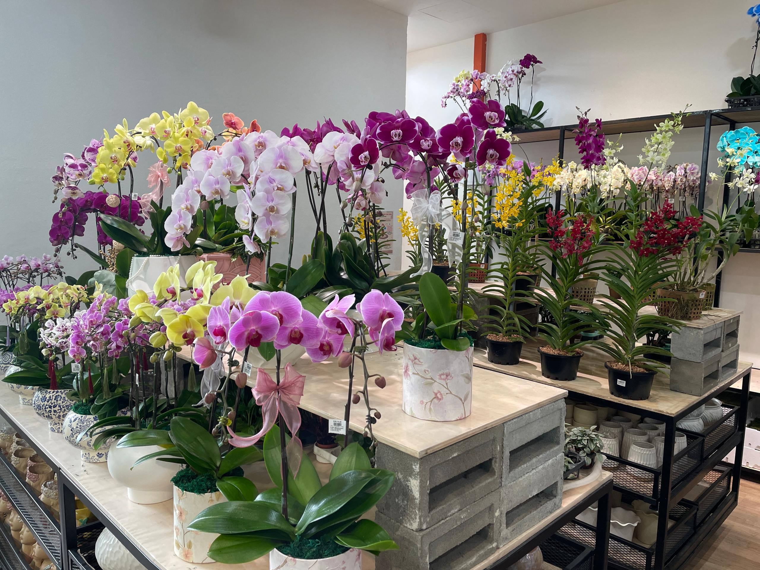 Fresh Flowers, Plants & Floral Services - Pudu Ria Florist (Northern)